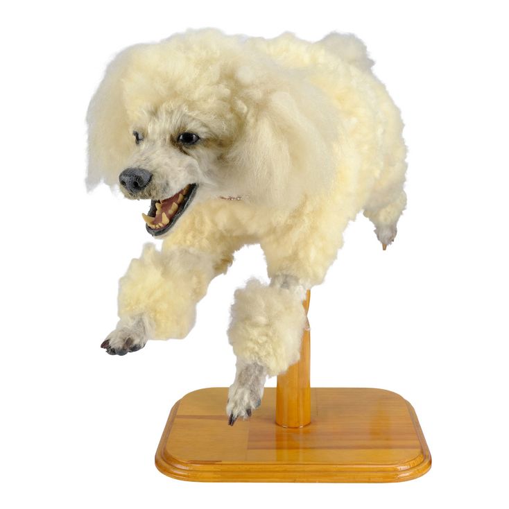 Lot # 688: INTERVIEW WITH THE VAMPIRE (1994) - Animatronic Poodle ...