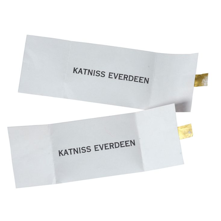 246. Pair of Katniss Everdeen's (Jennifer Lawrence) Reaping Day Name ...