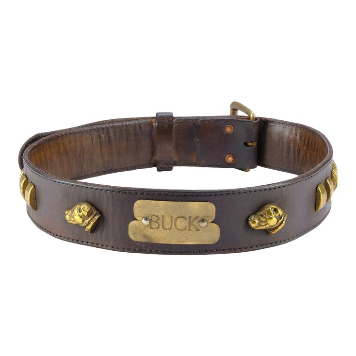 Lot # 1180: THE CALL OF THE WILD (2020) - Buck's (Terry Notary) Collar