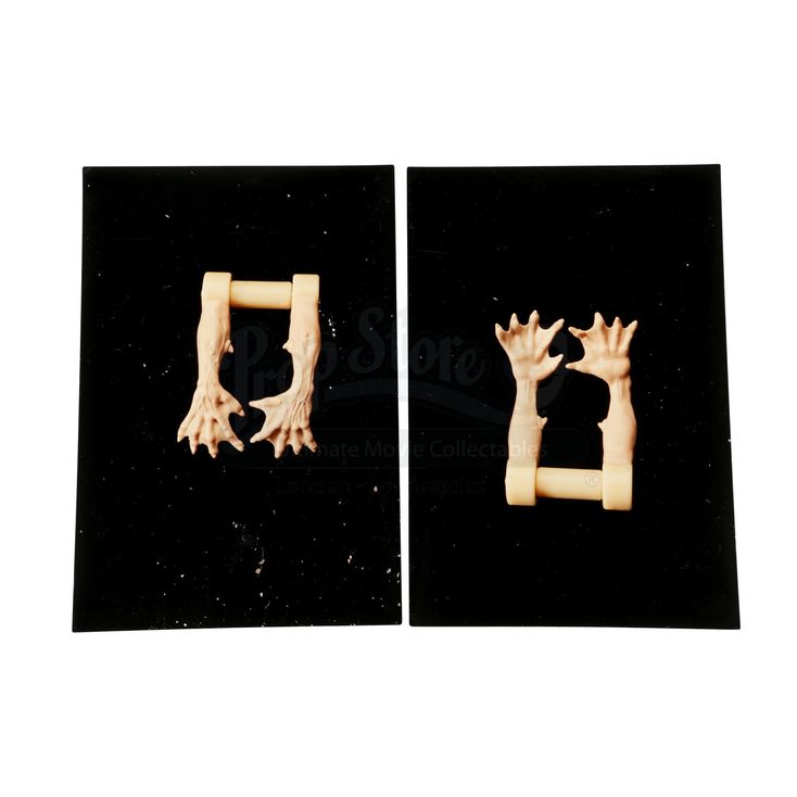 Two Webbed Ghost Arm Mold Photos from Egons Lab | REAL GHOSTBUSTERS ...