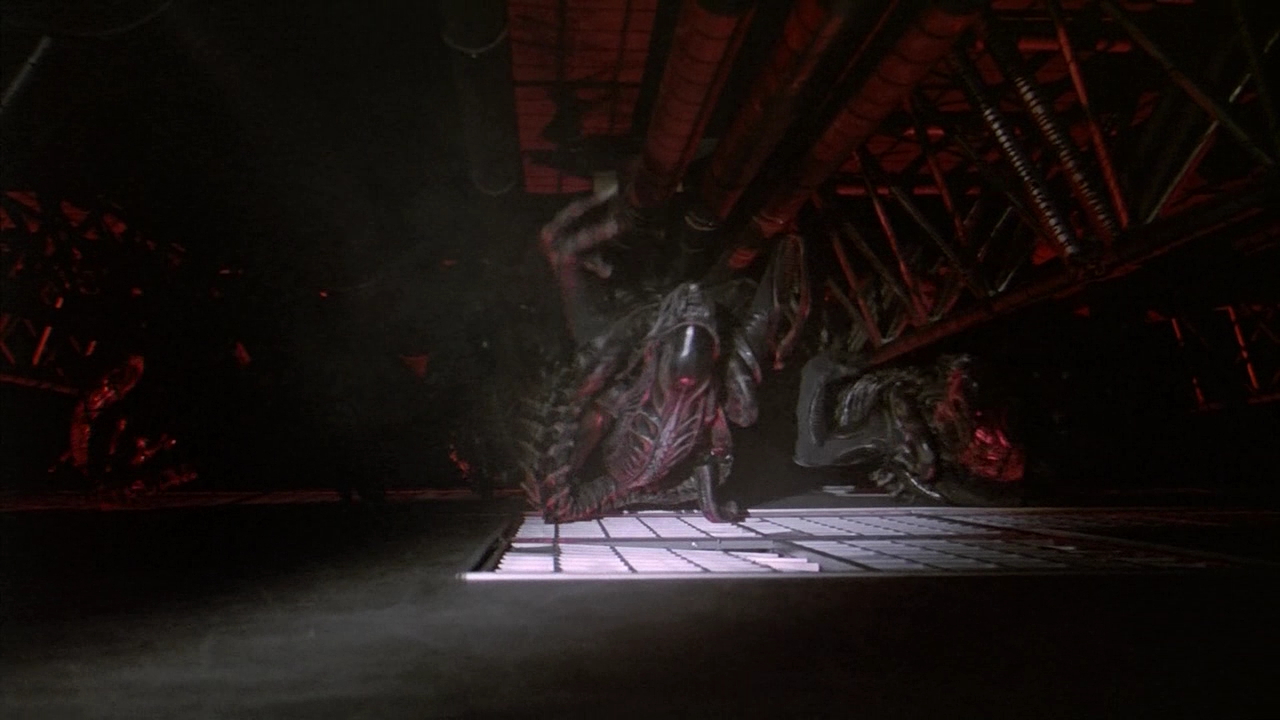 Xenomorph Creature Costume Tail | ALIENS (1986)