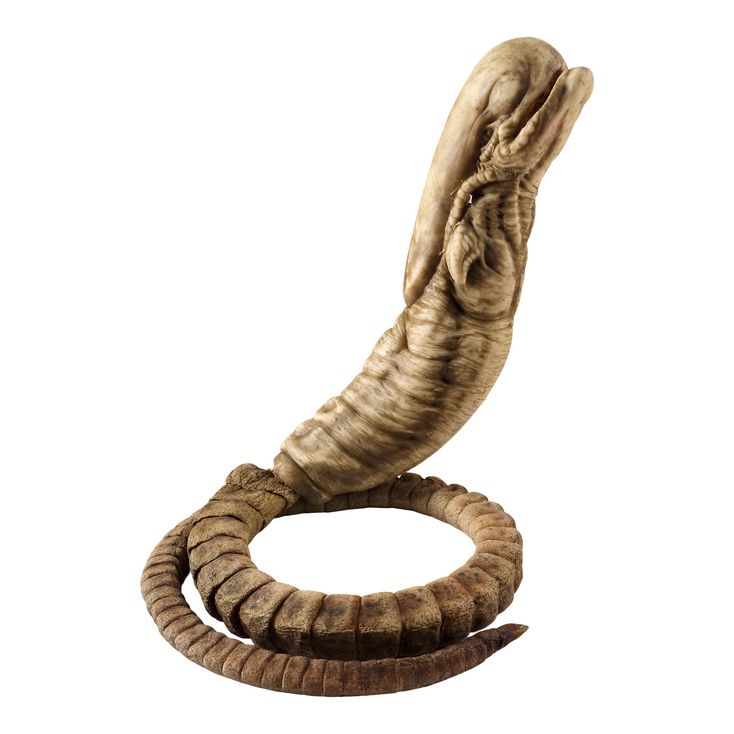 Lot # 514: AVP: ALIEN VS. PREDATOR (2004) - Chestburster with ...
