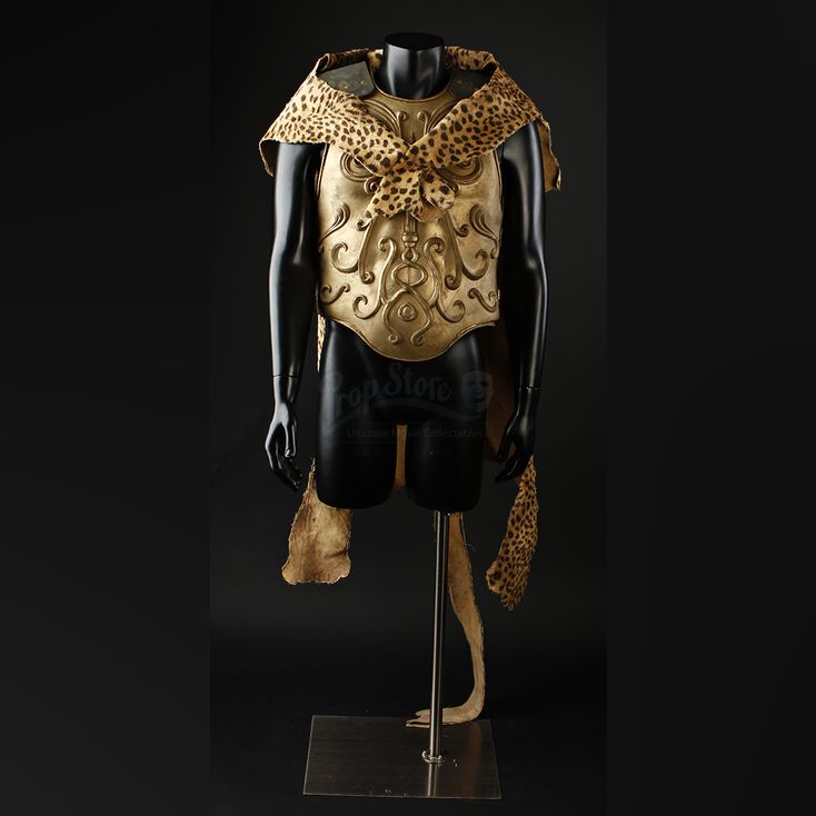 Chariot Drivers Cuirass and Cheetah Cape | GLADIATOR (2000)