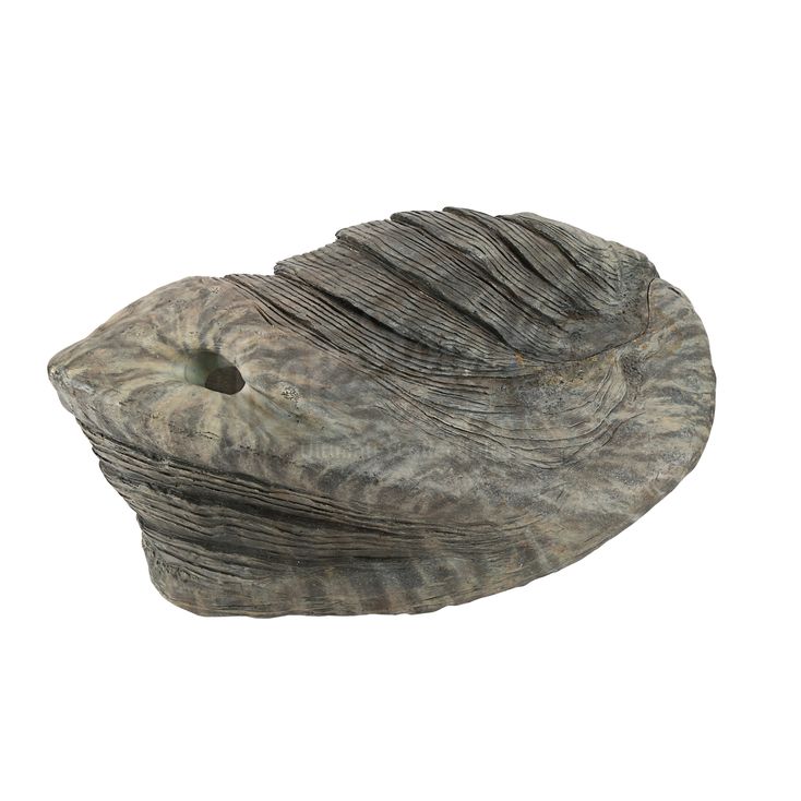 Psammead Shell | FIVE CHILDREN & IT (2004)