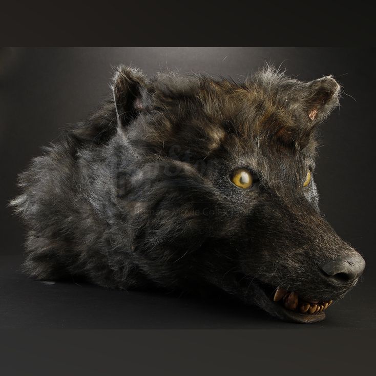 Wolf Head | GREY, THE (2011)