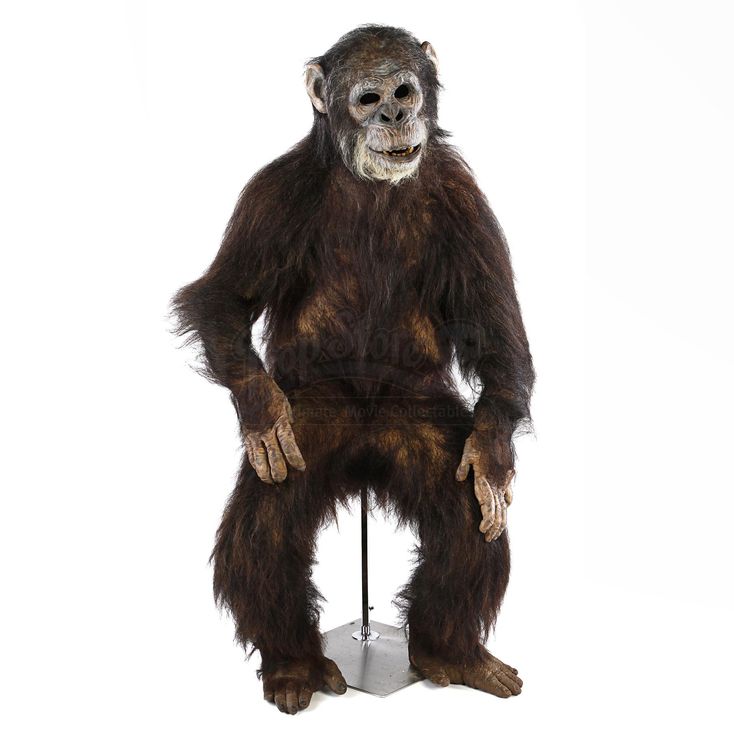 Lot 20 - Complete Ape Display | GREYSTOKE: THE LEGEND OF TARZAN, LORD ...