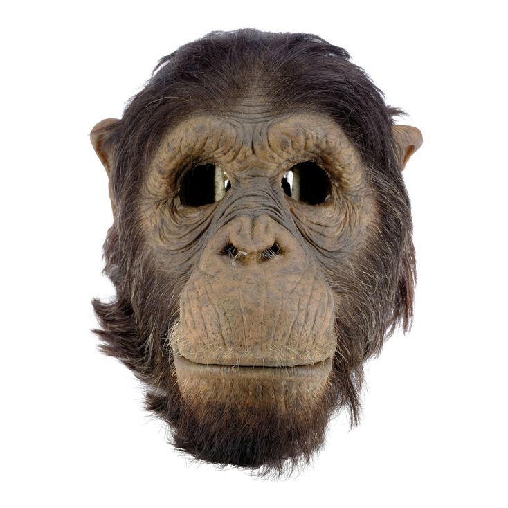 Lot # 596: ED (1996) - Animatronic Chimp Mask