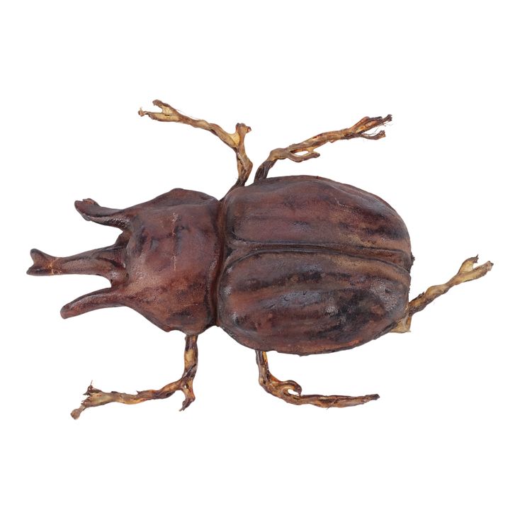 Lot # 1278: INDIANA JONES AND THE TEMPLE OF DOOM (1984) - Pankot Palace ...