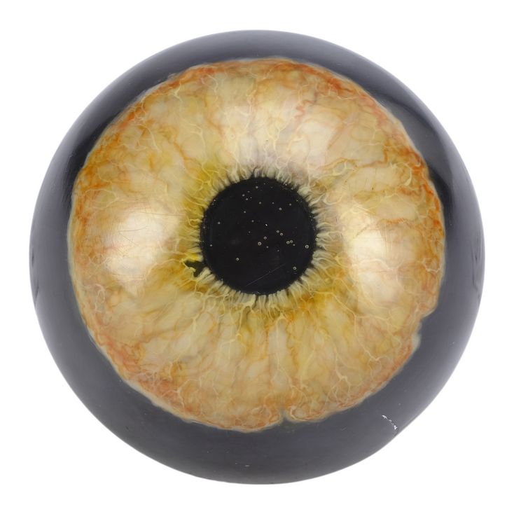 Lot # 183: JURASSIC PARK (1993) - Tyrannosaurus Rex Paint Test Eye