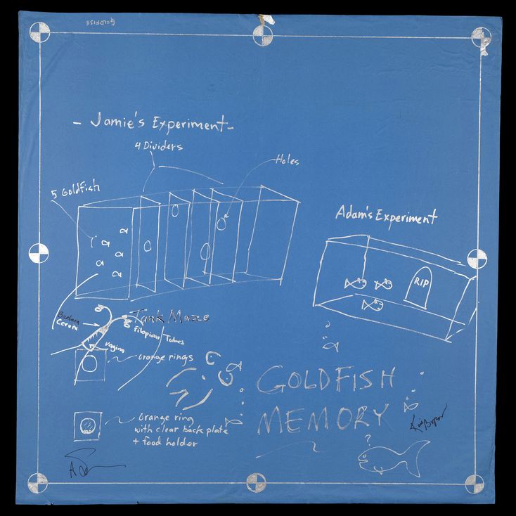 Lot 131 Goldfish Memory Blueprint Signed by Adam Savage and Kari Byron with Two Signed Posters ...