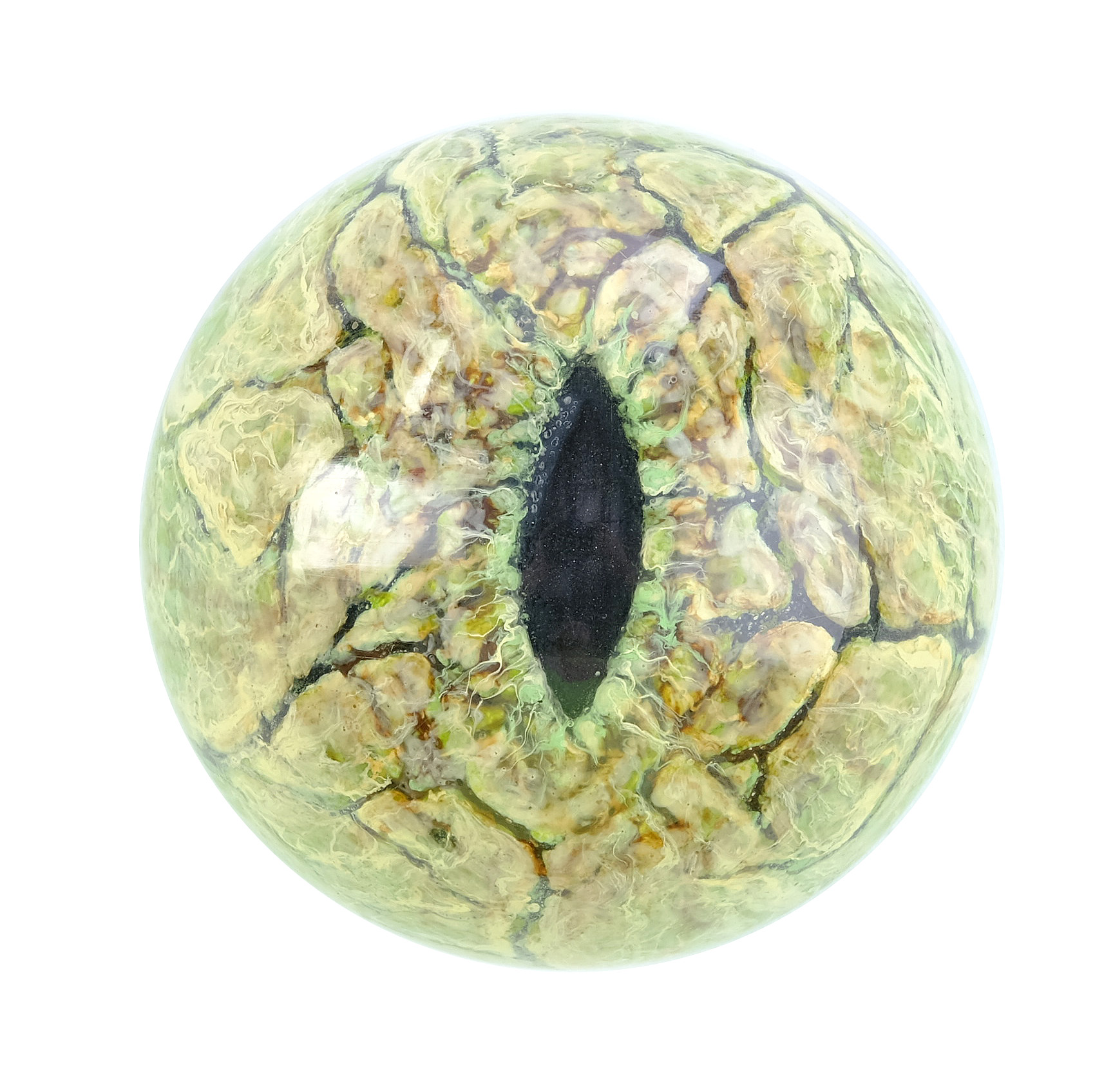 Lot # 214: Jurassic Park (1993) - Velociraptor Reference Eye