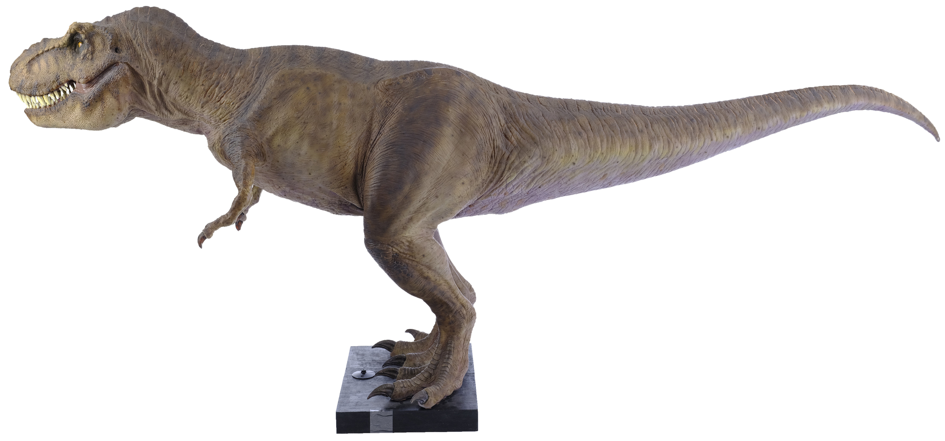 Lot # 218: Jurassic Park (1993) - 1:5 Scale Tyrannosaurus-Rex Maquette ...