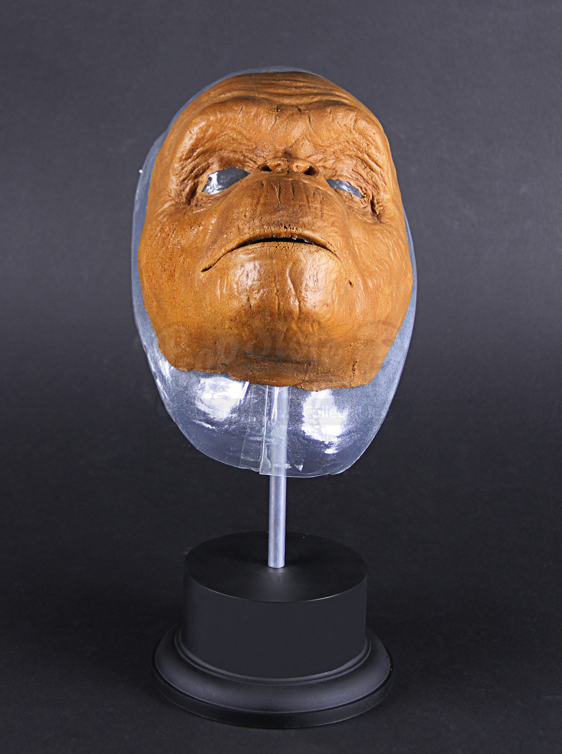 Ape Mask Signed Photo | Propstore - Find Your Extraordinary