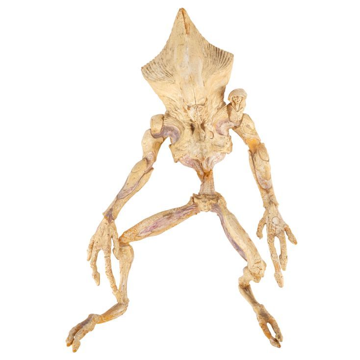 Harvester Alien Bio-Suit Design Maquette | INDEPENDENCE DAY (1996)