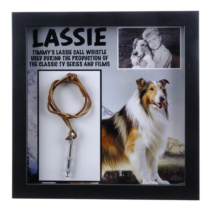 Lot #1355: LASSIE (1954-1974) TV SERIES - Timmy Martin's (Jon Provost ...