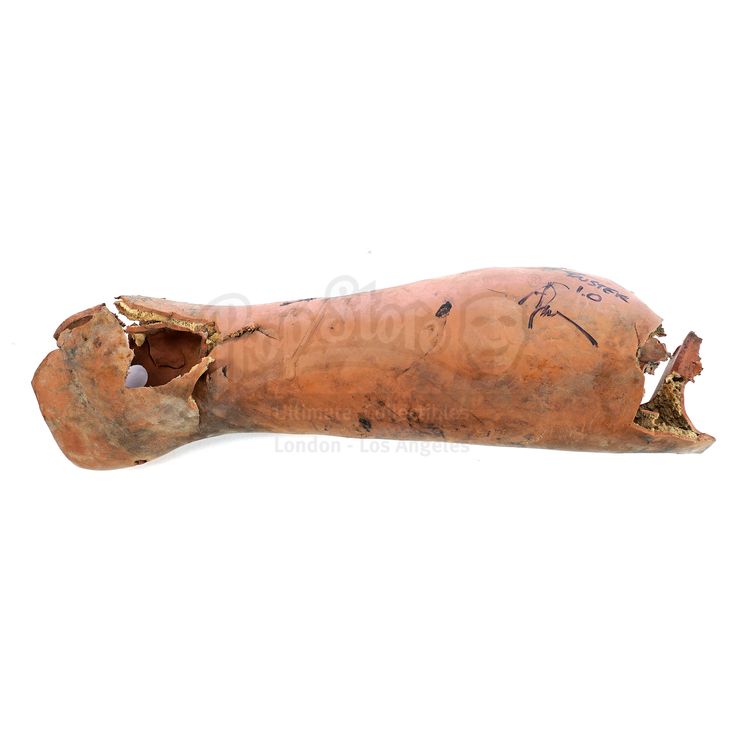 Crash Test Dummy Leg from the Original Buster | MYTHBUSTERS (T.V ...