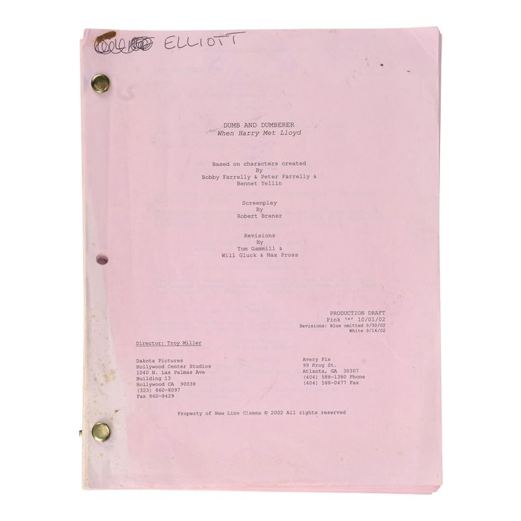 Lot # 1235: DUMB AND DUMBERER: WHEN HARRY MET LLOYD (2003) - Pink Production Draft Script