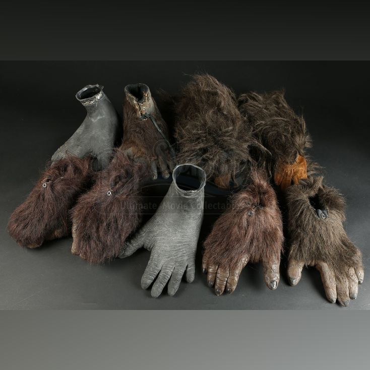 Gorilla Feet | GORILLAS IN THE MIST (1988)