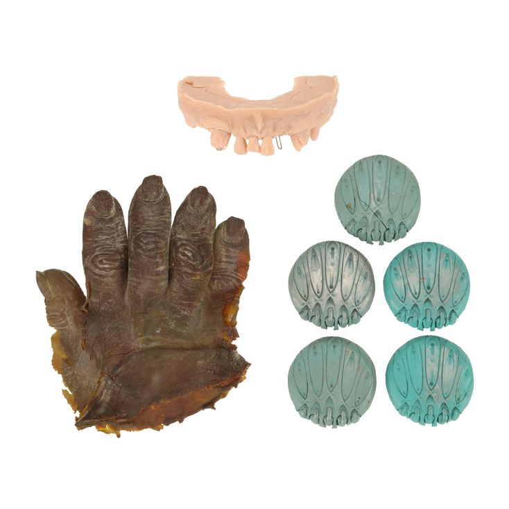 Lot 1333 - Wookiee Hand, Wookiee Teeth Sculpt, and Tion Medon (Bruce ...