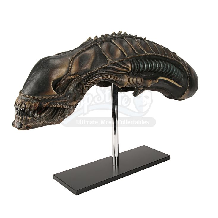 SFX Xenomorph Creature Head | ALIENS (1986)