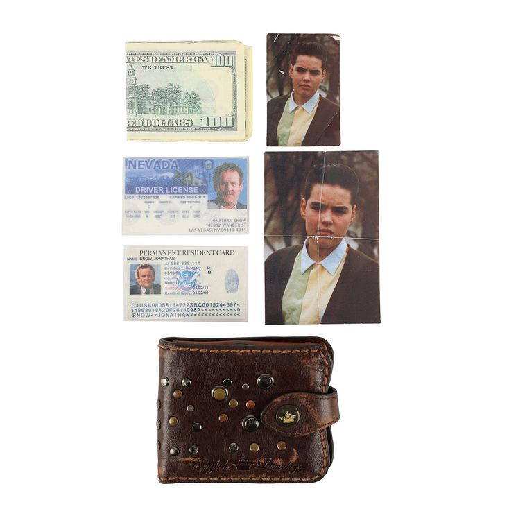 Jonathan Snows (Colm Meaney) Hero Wallet | GET HIM TO THE GREEK (2010)