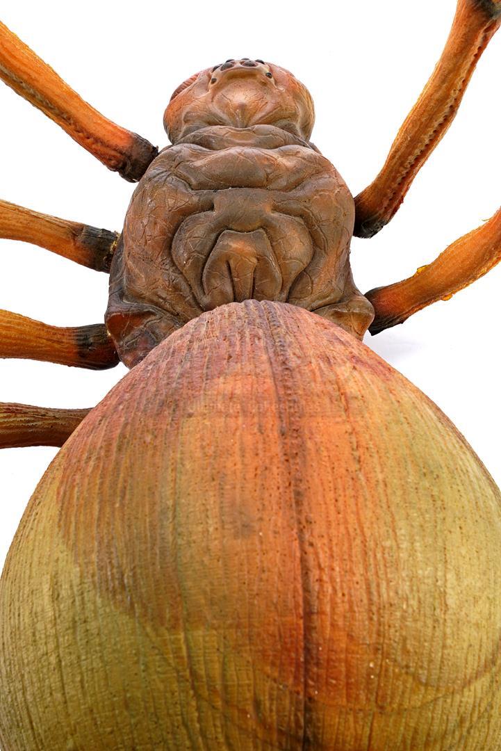 Propstore - Find Your Extraordinary