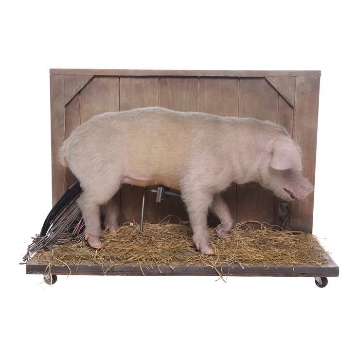 Lot 684 - Animatronic Wilbur Puppet Display | CHARLOTTE'S WEB (2006)