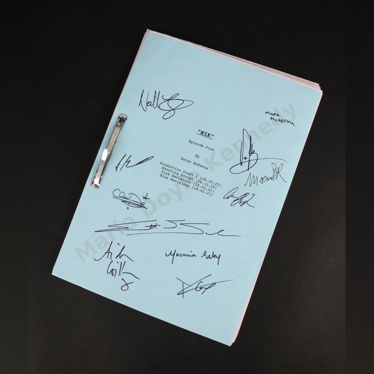 Lot 5 - Maria Doyle Kennedy Charity Auction - Maria Doyle Kennedys Cast ...