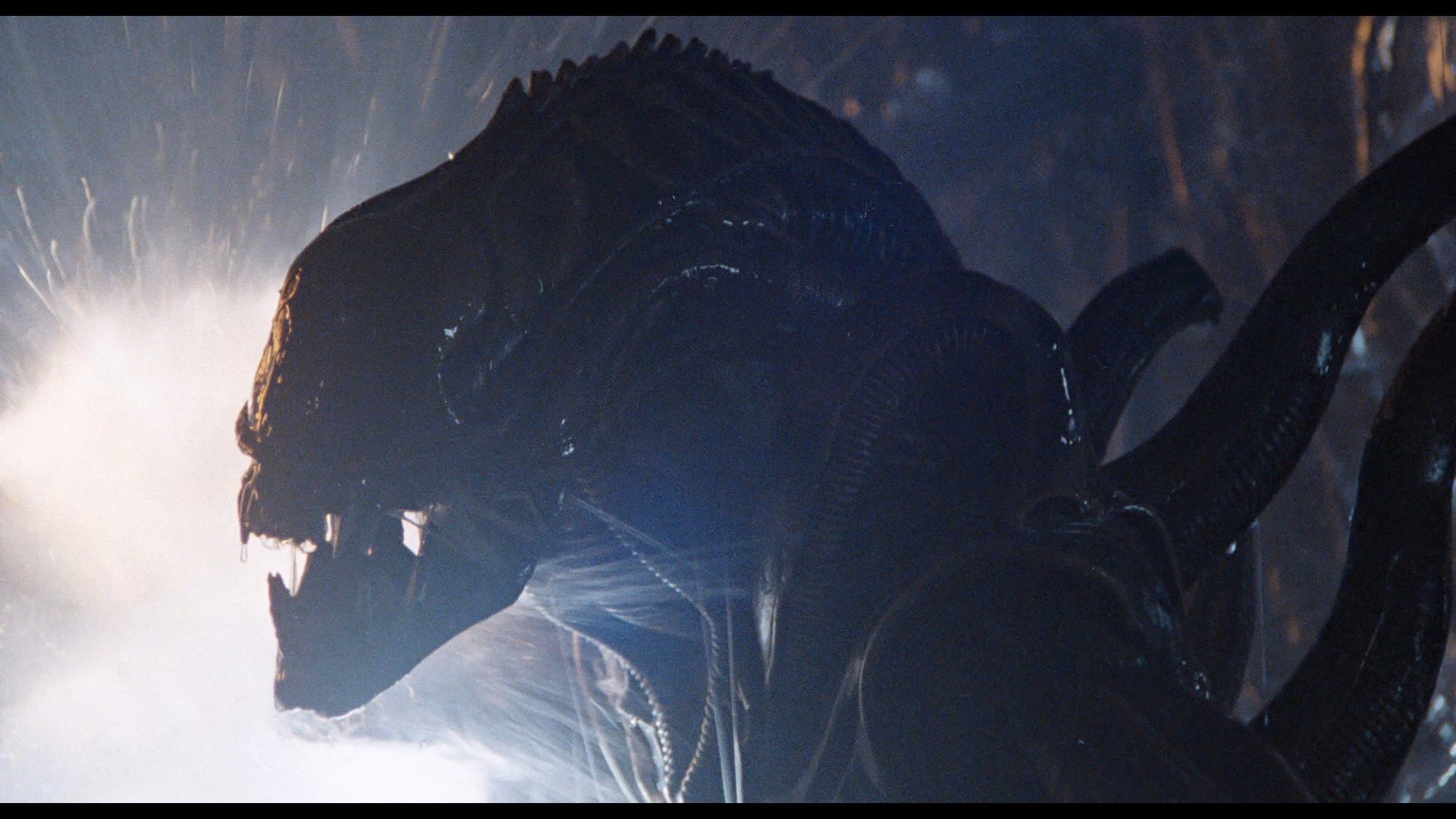 Propstore - Find Your Extraordinary