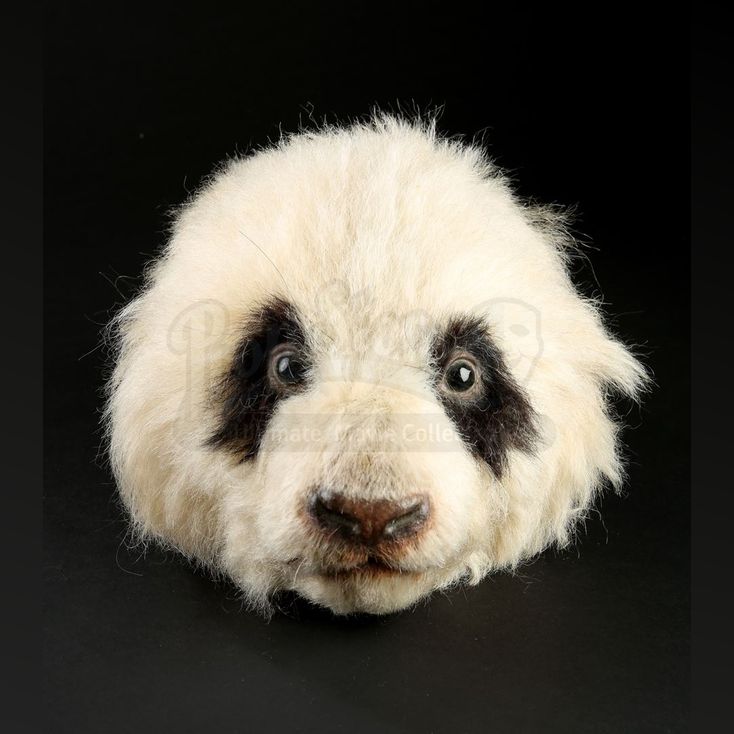 Ernie Panda Head | AMAZING PANDA ADVENTURE, THE (1995)