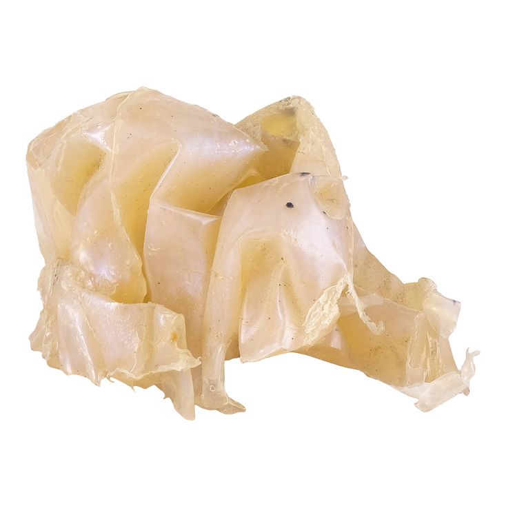 Lot # 1428: STAR TREK IV: THE VOYAGE HOME (1986) - Michael and Denise ...