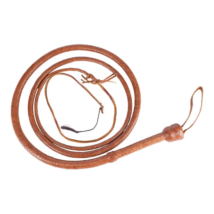 Lot 209. Indiana Jones (Harrison Ford) Whip Replica from Entertainment ...