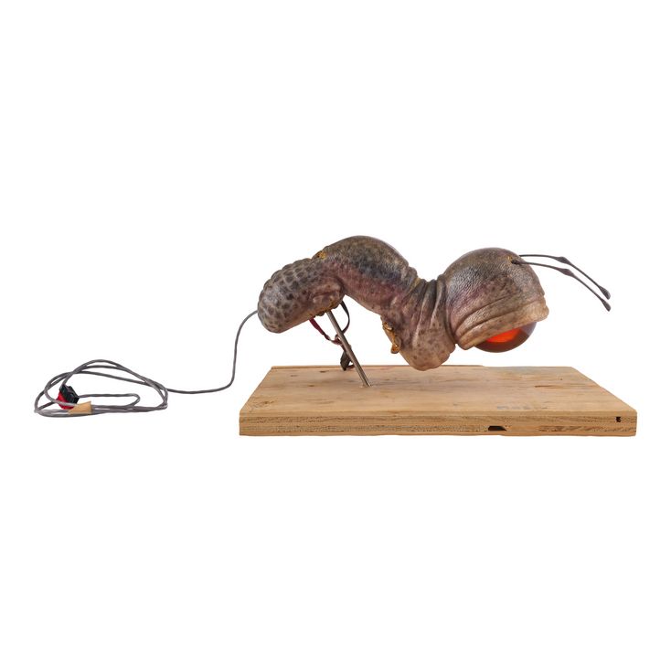 Lot # 1168: MEN IN BLACK 3 (2012) - Animatronic Cycloptic Worm Alien