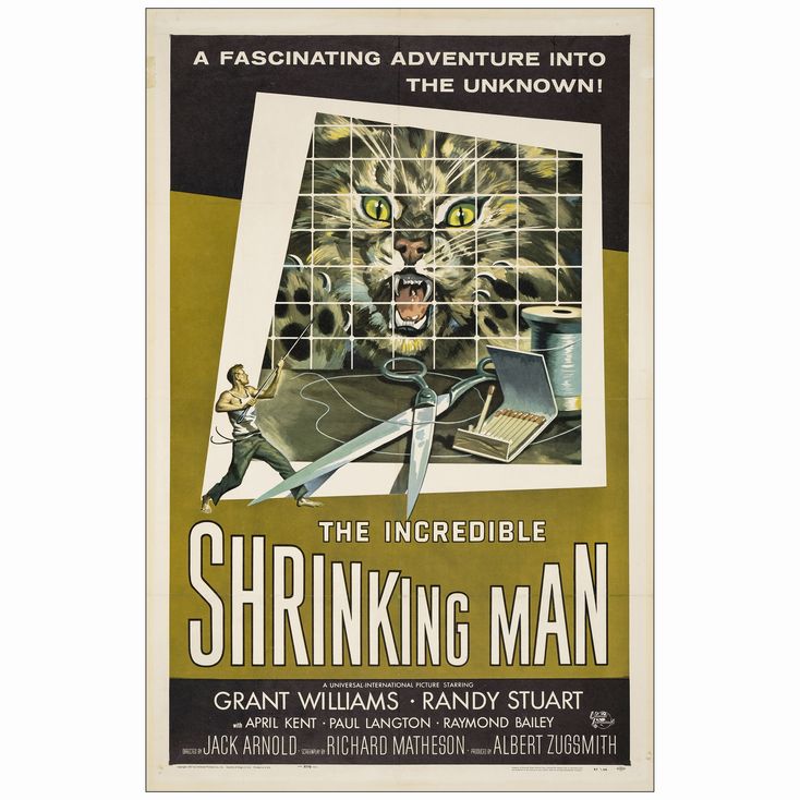 Lot 434 - THE INCREDIBLE SHRINKING MAN One Sheet (26.75 x 41.25) Very ...