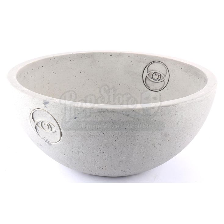 Erudite Faction Choosing Ceremony Bowl | DIVERGENT (2014)