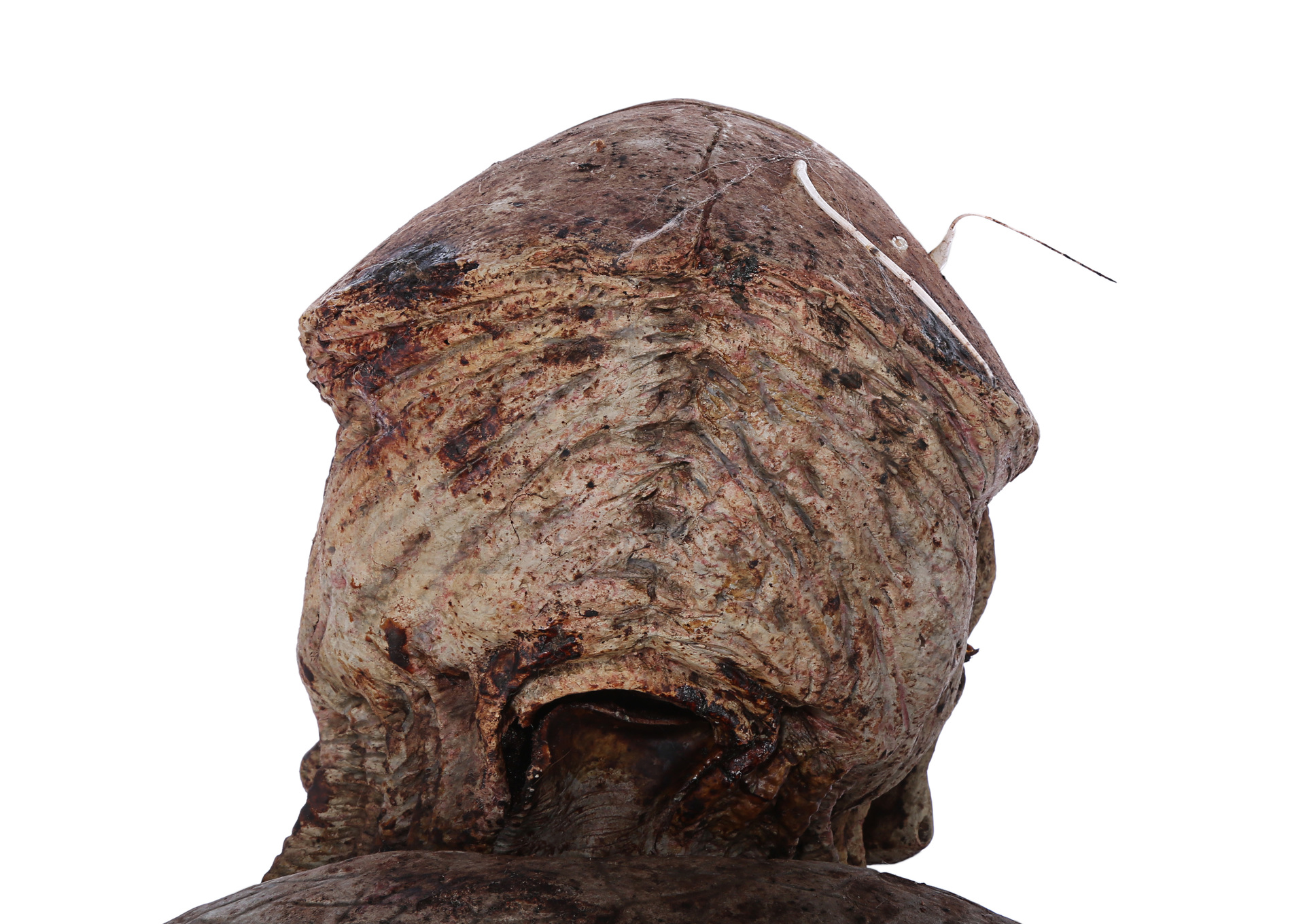 Full-Size Monster Torso | FEAST (2005)