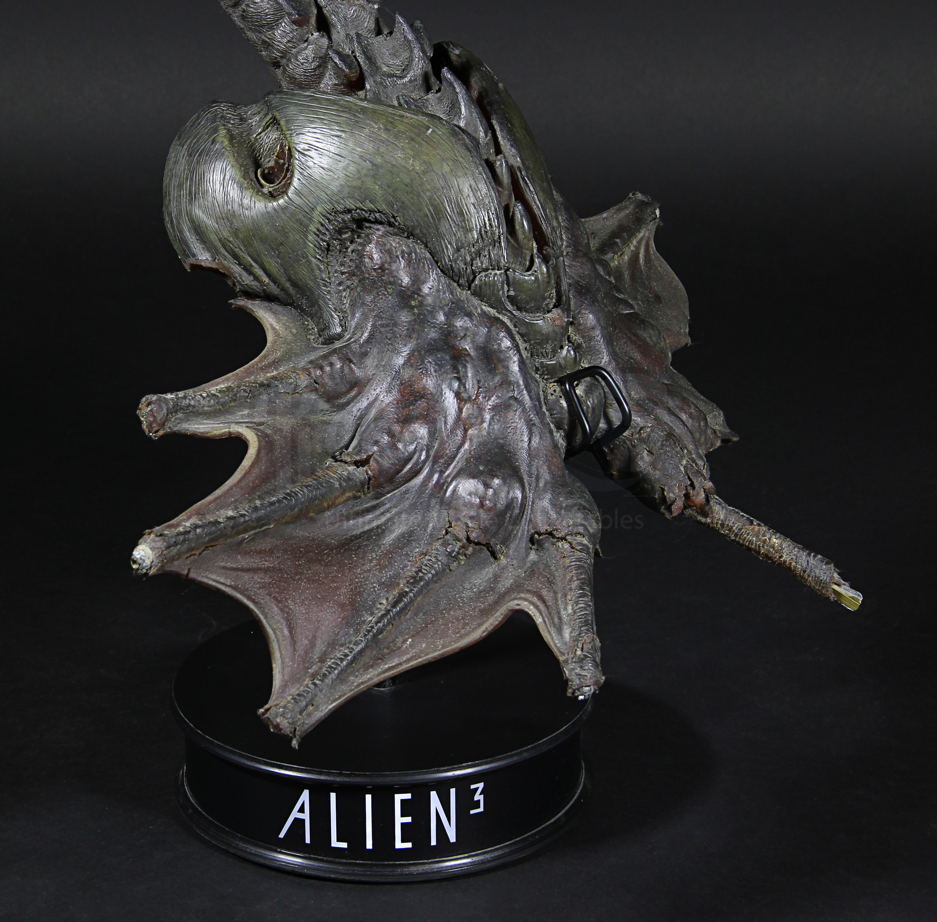 Super Facehugger Display | ALIEN3 (1992)