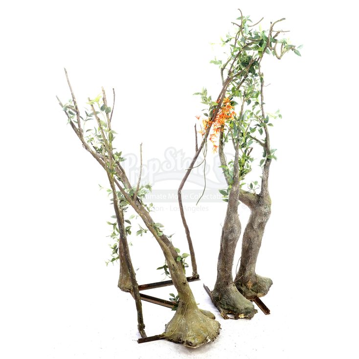 Lot 76 ANNIHILATION - Two Stand-In Human Shaped Trees | ANNIHILATION (2018)