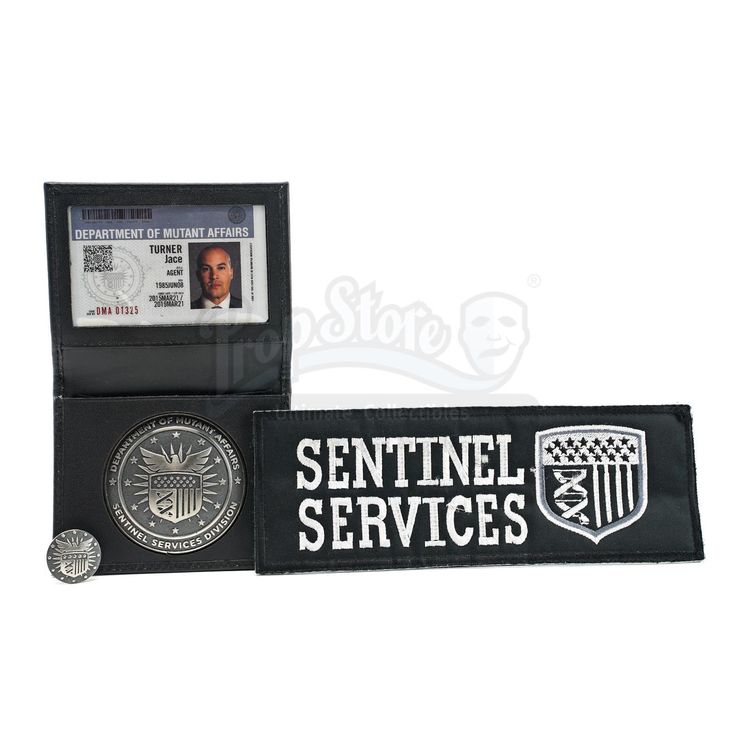 Jace Turners Sentinel Services Badge, ID, Lapel Pin and Patch | GIFTED ...