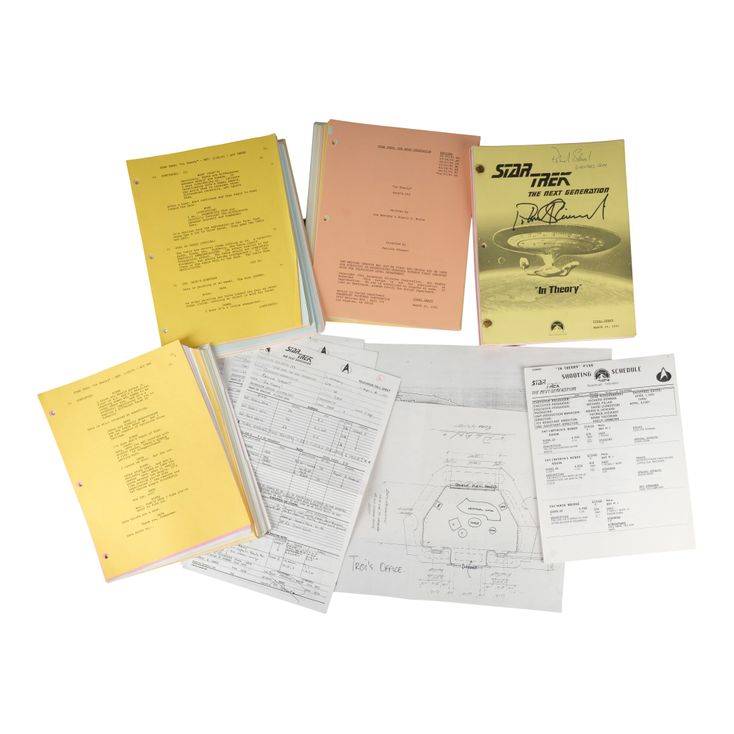 Lot # 359: STAR TREK: THE NEXT GENERATION - IN THEORY (1991) - Patrick ...