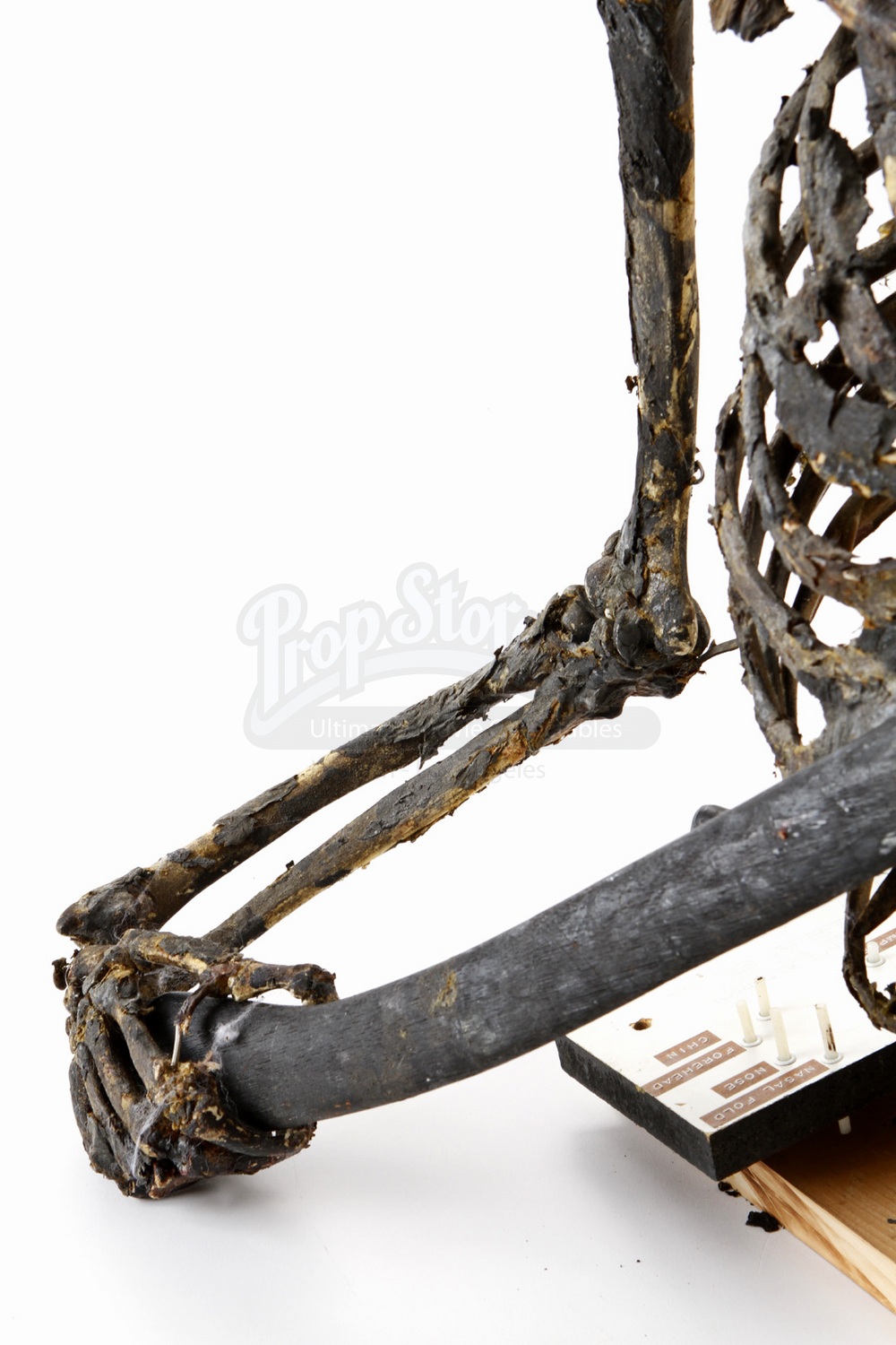 Propstore - Find Your Extraordinary