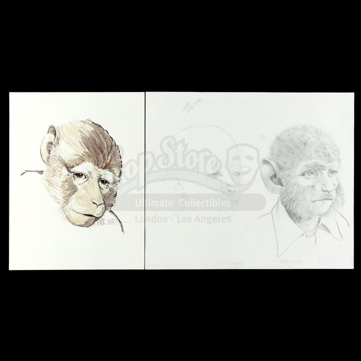 Two Hand-Drawn Sketches of Peter Shepherds (Bradley Pierce) Monkey ...
