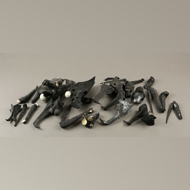 Burned Warrior Bug Miniature Components | STARSHIP TROOPERS 2: HERO OF ...