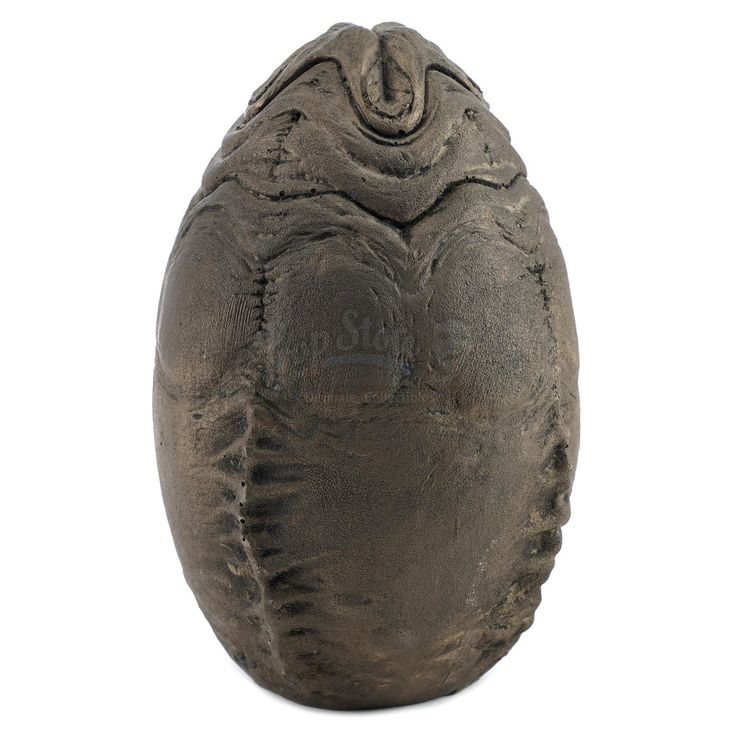 Xenomorph Egg Crew Gift | AVP: ALIEN VS. PREDATOR (2004)