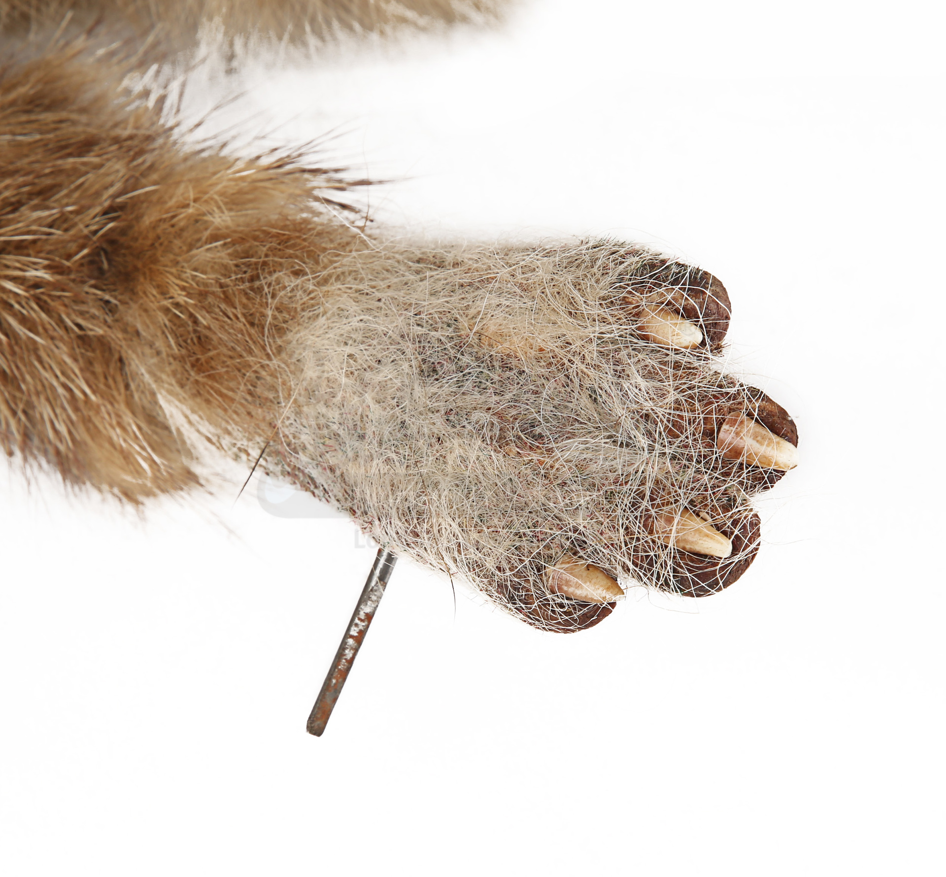 Propstore - Find Your Extraordinary