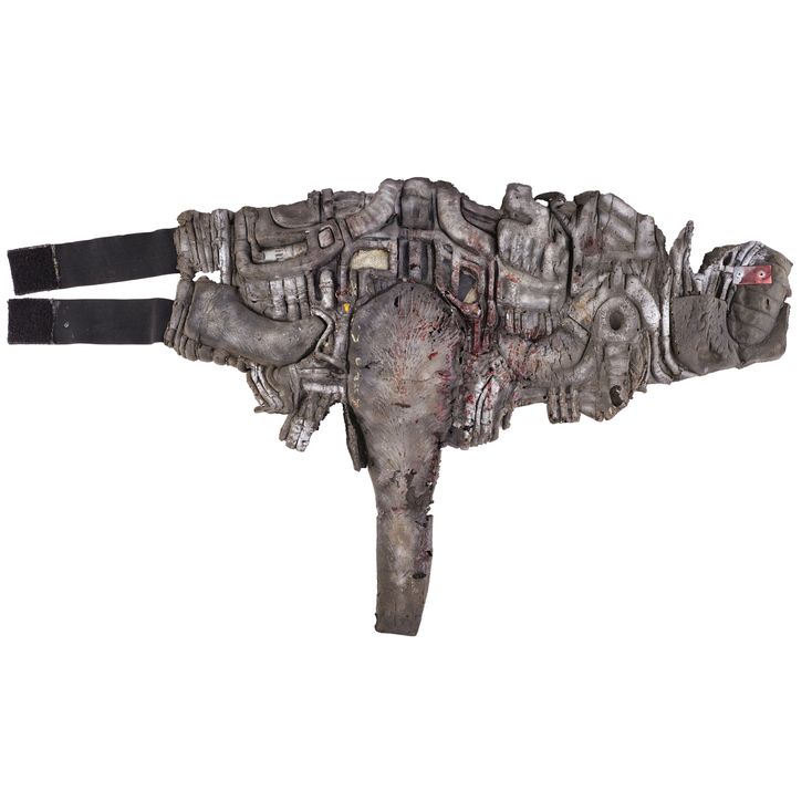 Lot 713 - Screen-Matched Ensign Lynch Borg Suit Section | STAR TREK ...