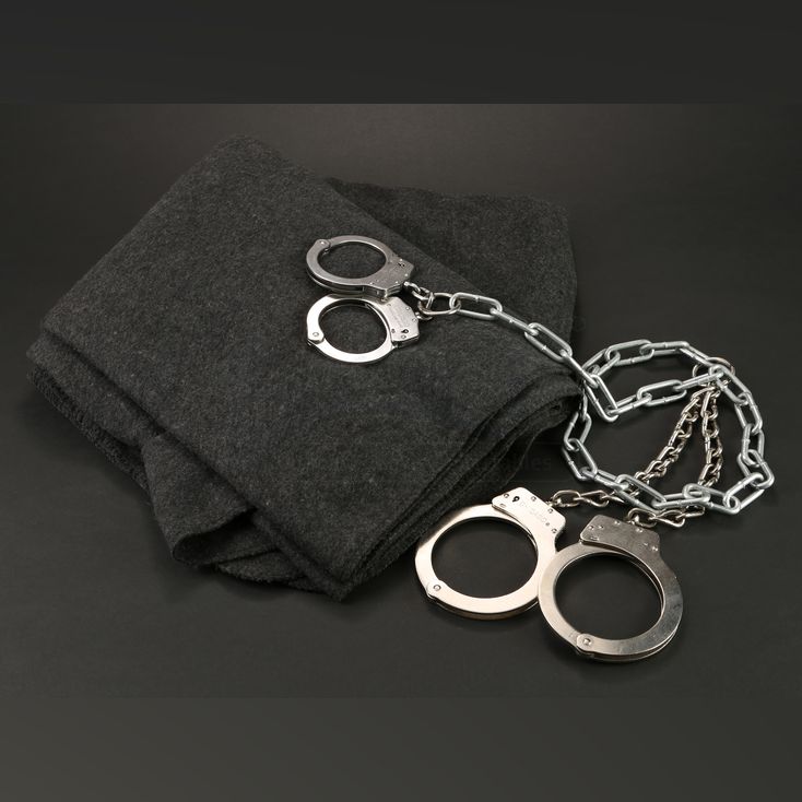 Sarah Connors (Emilia Clarke) Police Transport Blanket and Shackles ...
