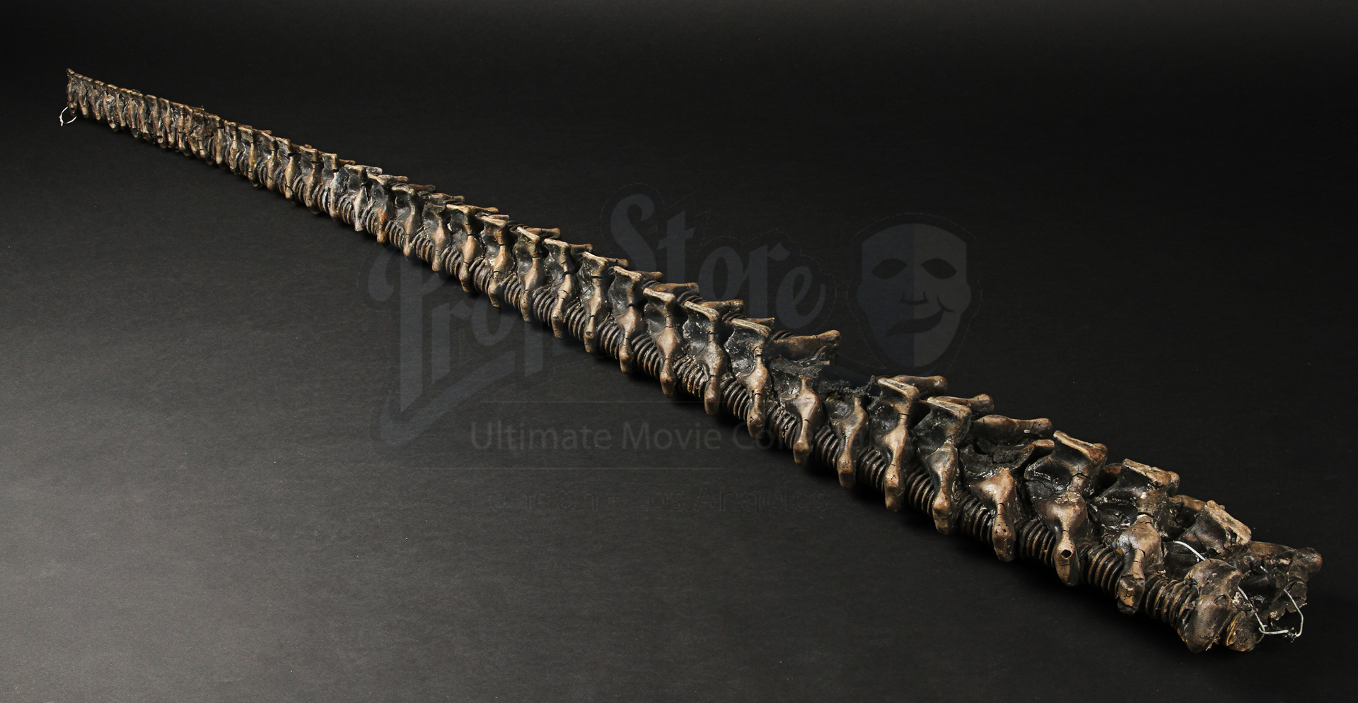 Xenomorph Creature Costume Tail | ALIENS (1986)