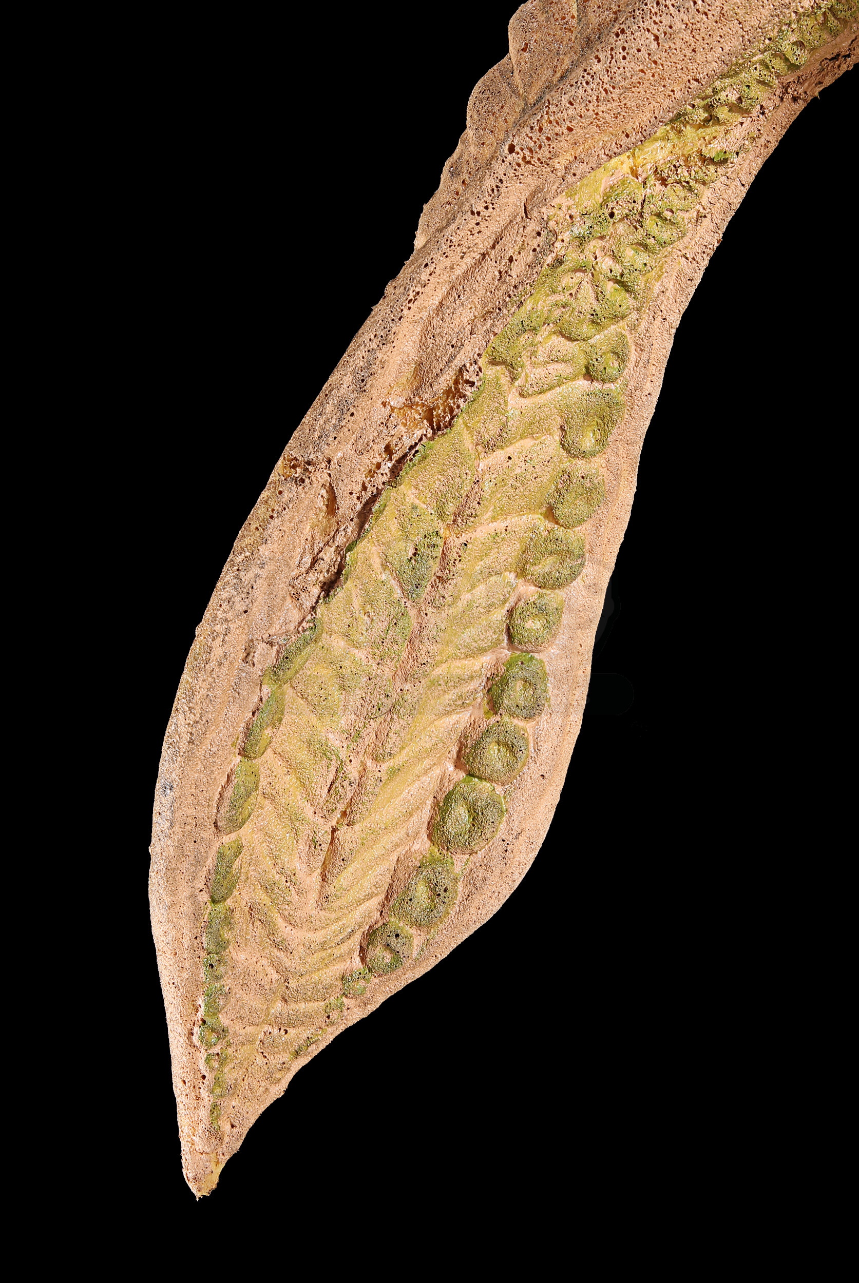 Propstore - Find Your Extraordinary