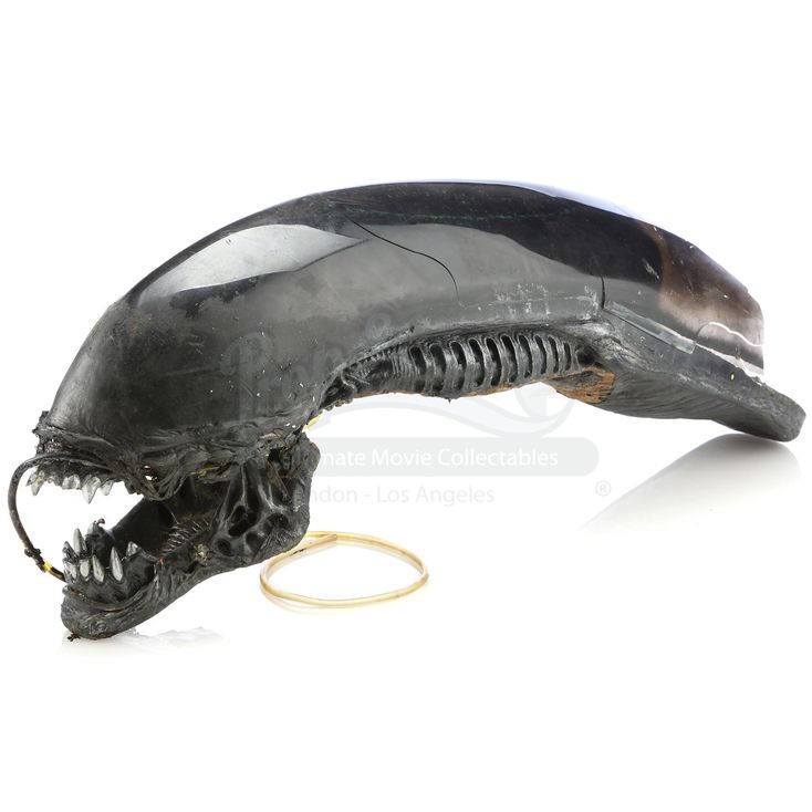 Xenomorph VFX Head | AVP: ALIEN VS. PREDATOR (2004)